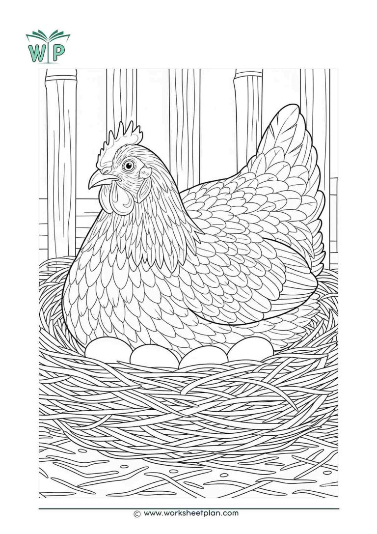 Chickens Coloring Pages » Worksheet Plan