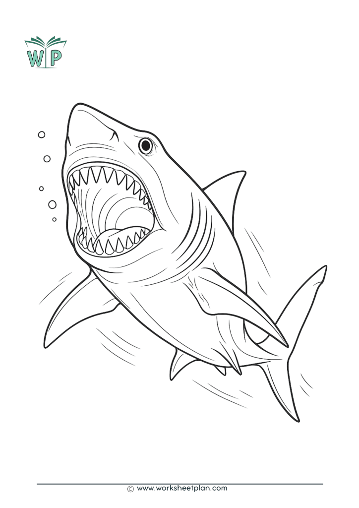 Sharks Coloring Pages » Worksheet Plan