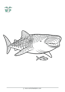 Sharks Coloring Pages » Worksheet Plan