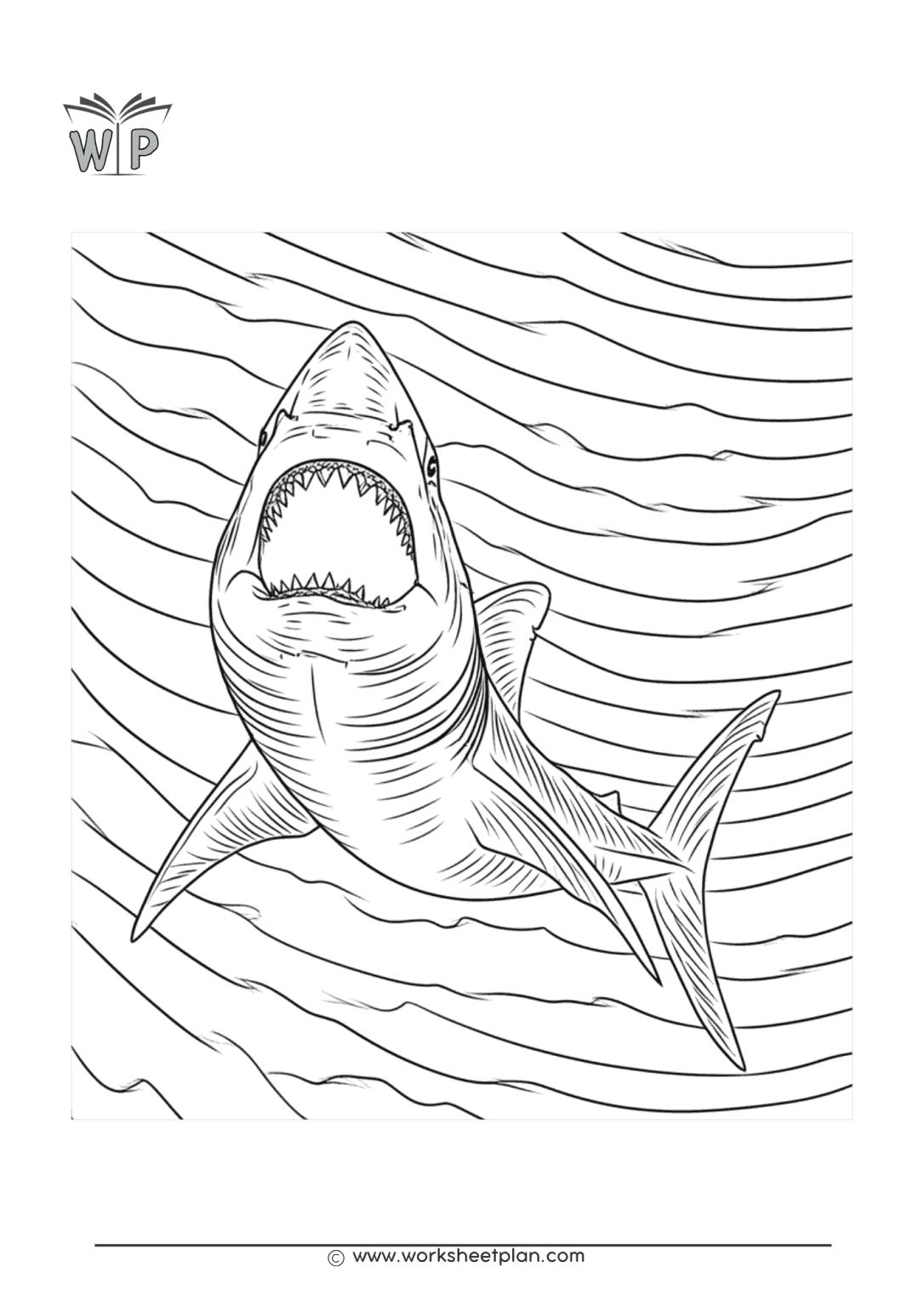 Sharks Coloring Pages » Worksheet Plan