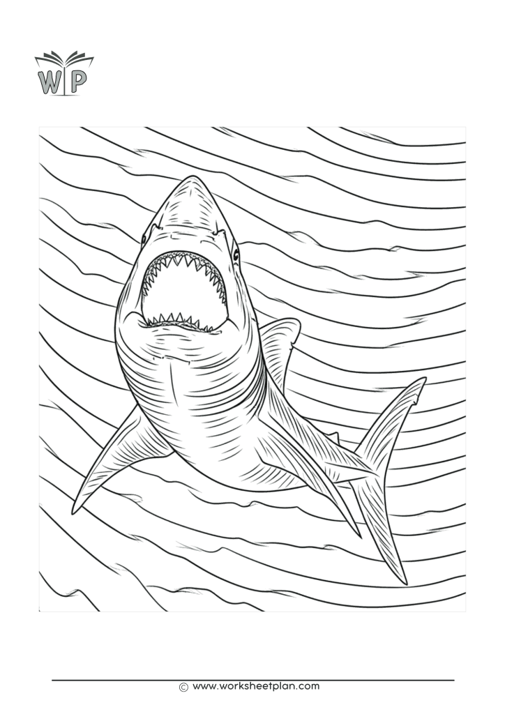 Sharks Coloring Pages » Worksheet Plan