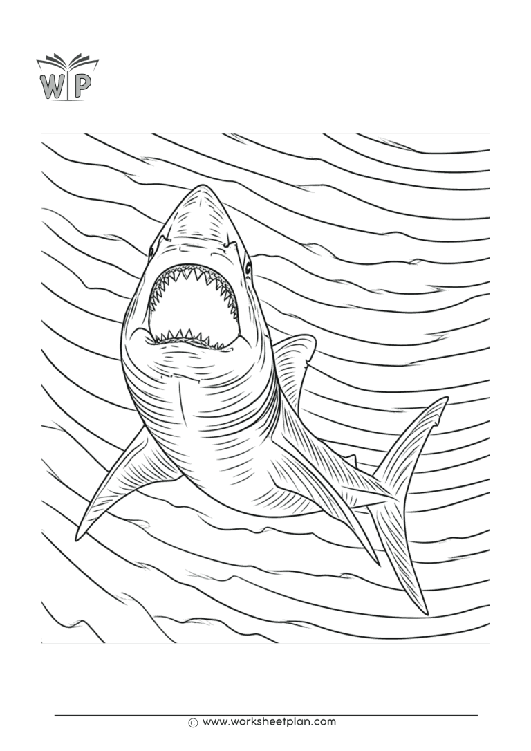 Sharks Coloring Pages » Worksheet Plan