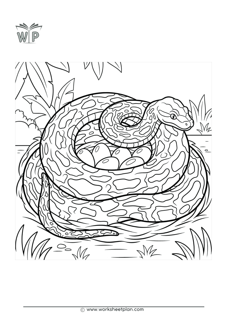 Snakes Coloring Pages » Worksheet Plan