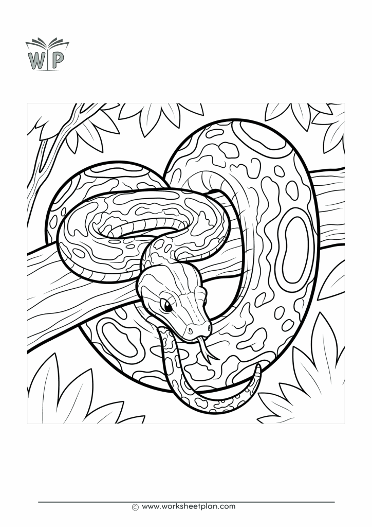 Snakes Coloring Pages » Worksheet Plan
