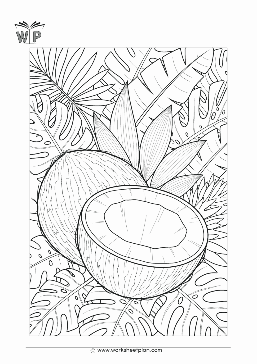 Coconut Coloring Pages » Worksheet Plan
