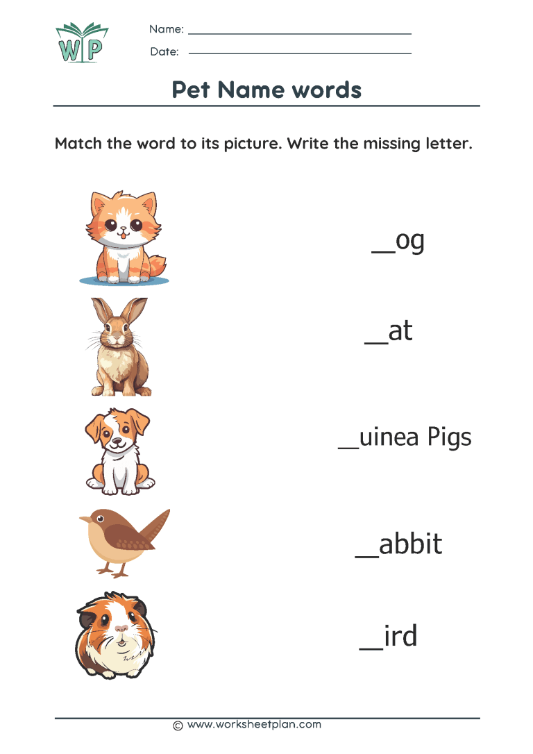 Missing pet Letters » Worksheet Plan