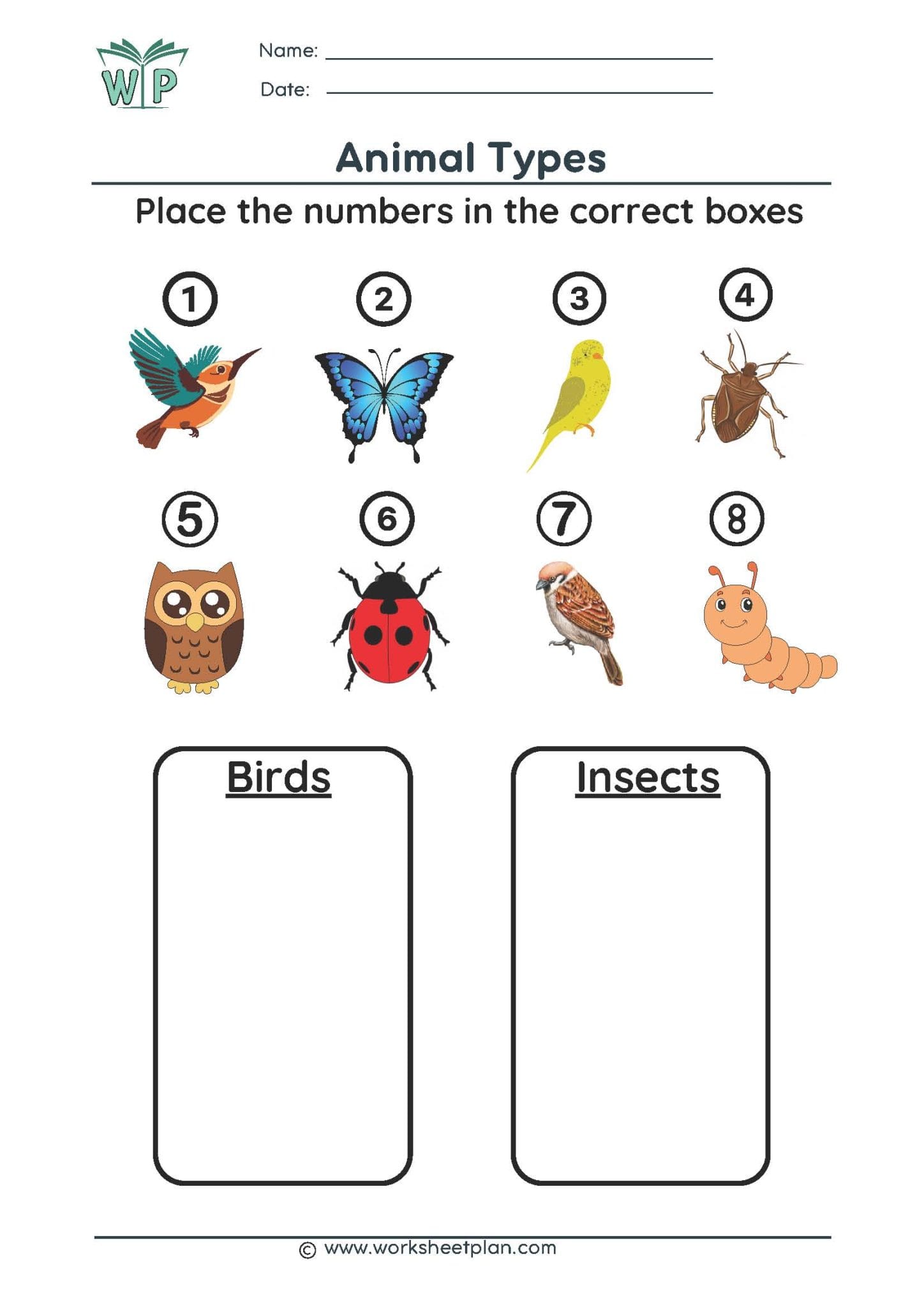 Identify Animals » Worksheet Plan