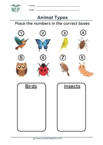 Identify Animals » Worksheet Plan