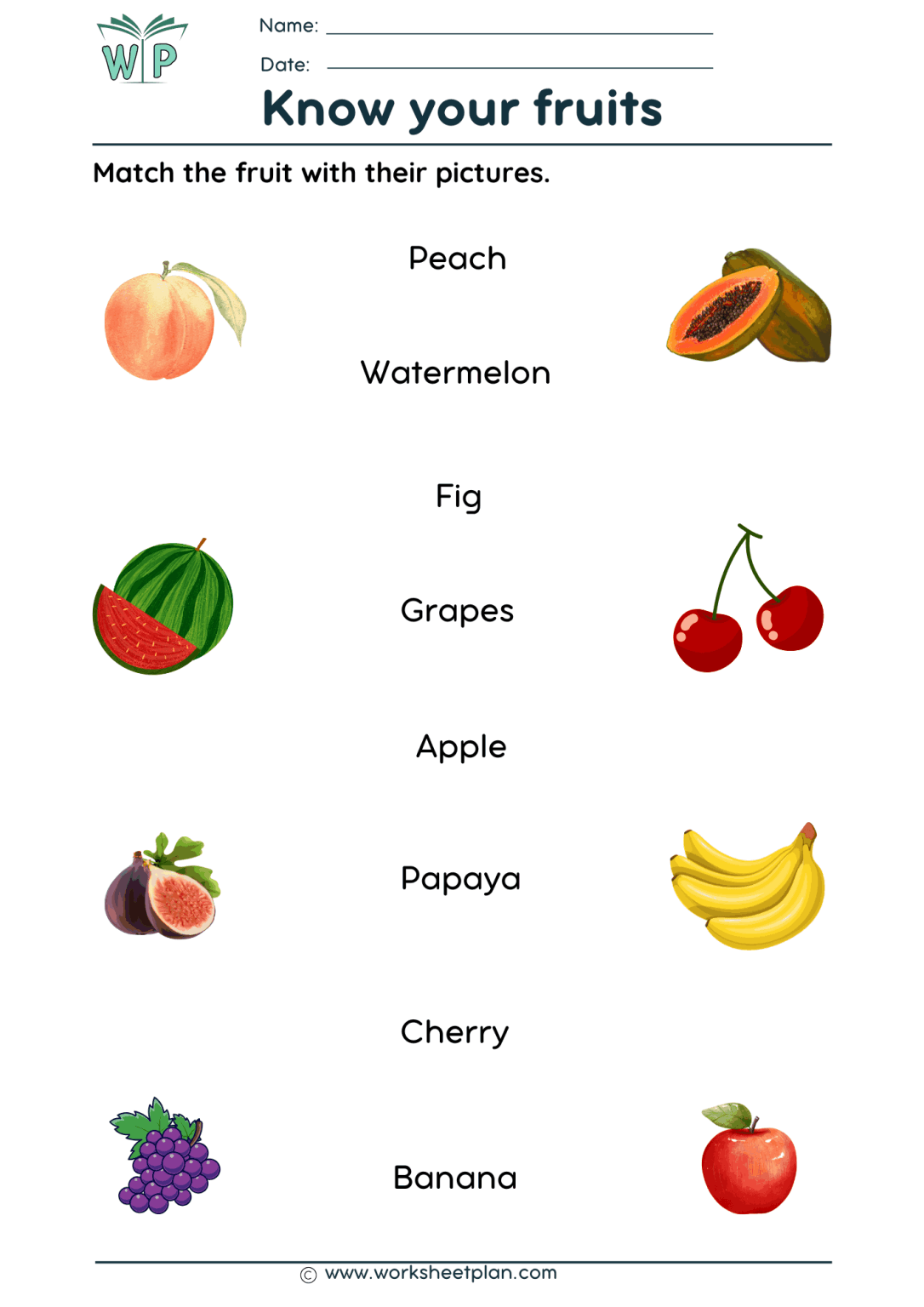 Fruits or Vegetables worksheets » Worksheet Plan