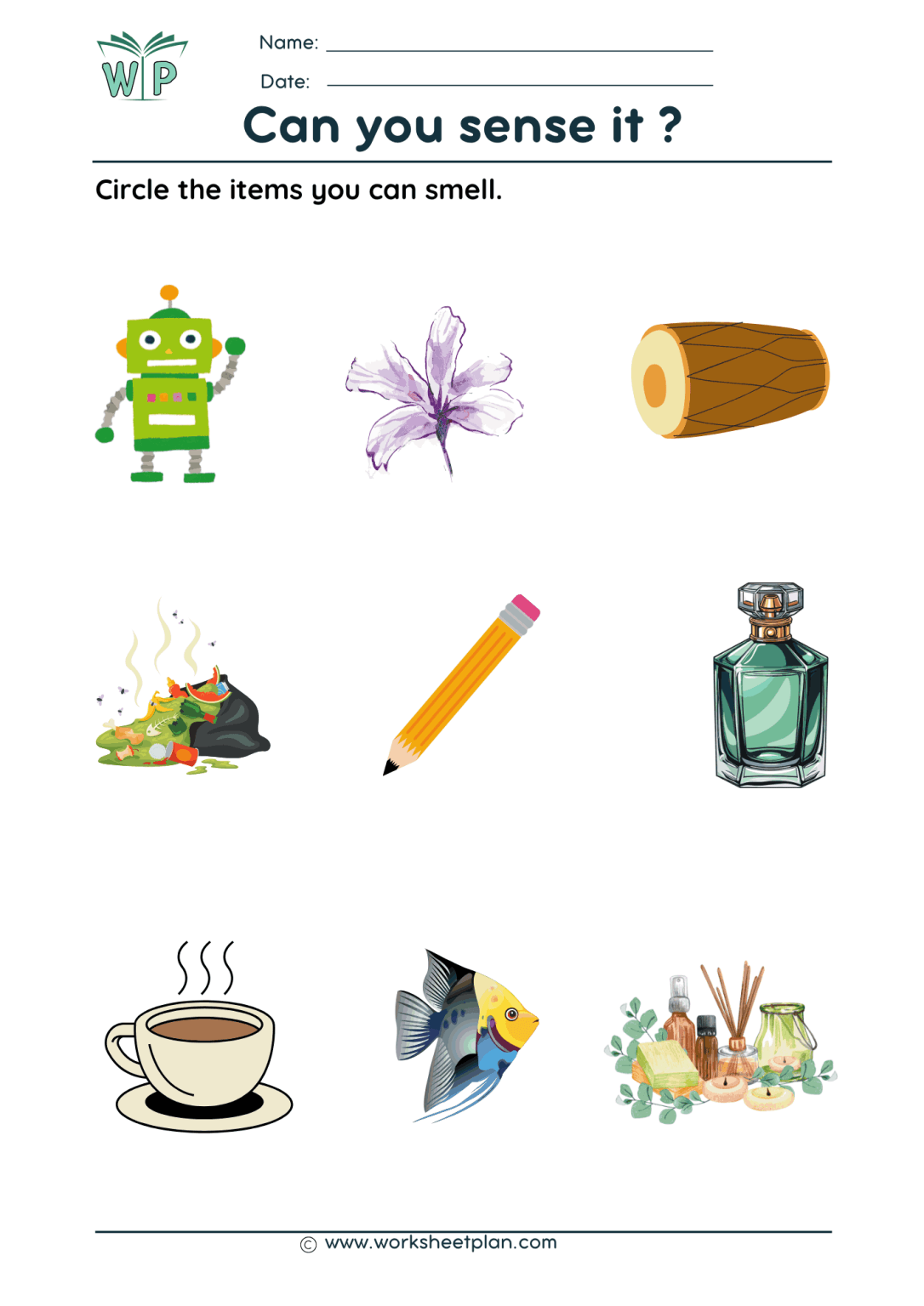 Can you sense it? » Worksheet Plan