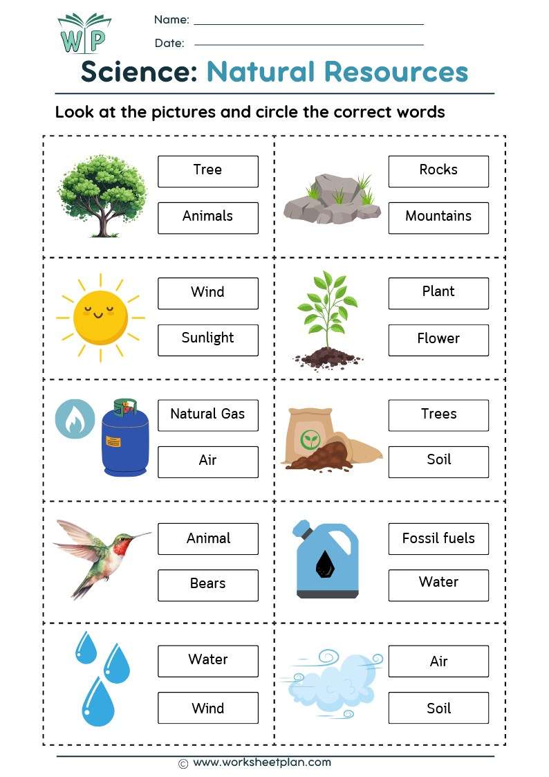 Natural Resources Worksheets » Worksheet Plan