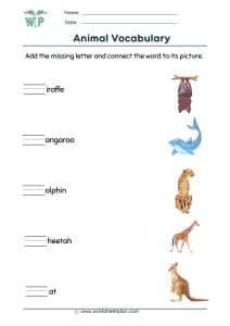 Animal Vocabulary » Worksheet Plan