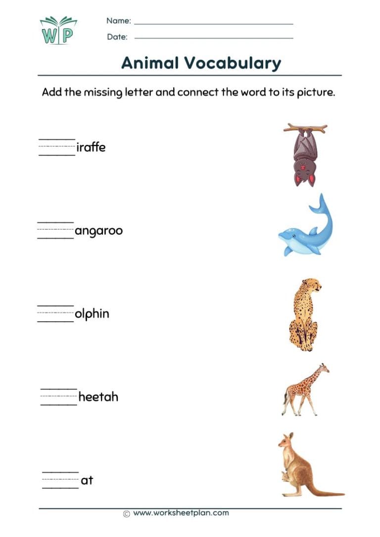 Animal Vocabulary » Worksheet Plan