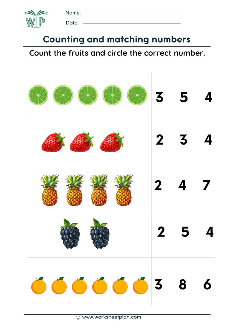 Counting and Matching Numbers » Worksheet Plan